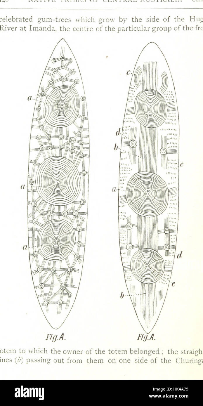 Illustration from 'The Native Tribes of Central Australia', depicting ...