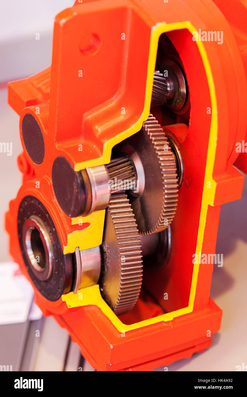 section of vertical gear unit with cylindrical gears, note shallow ...