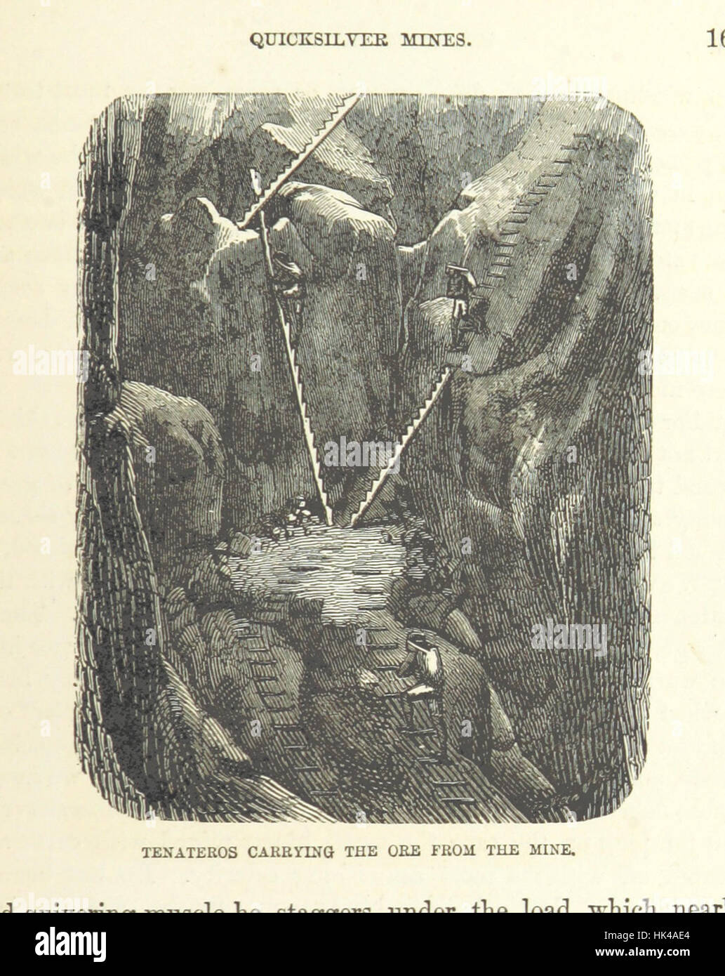 Scenes of wonder and curiosity in California. Illustrated by upwards of ...