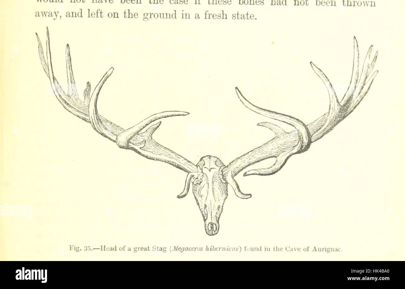 Image from 'Primitive Man', a revised translation illustrating scenes ...