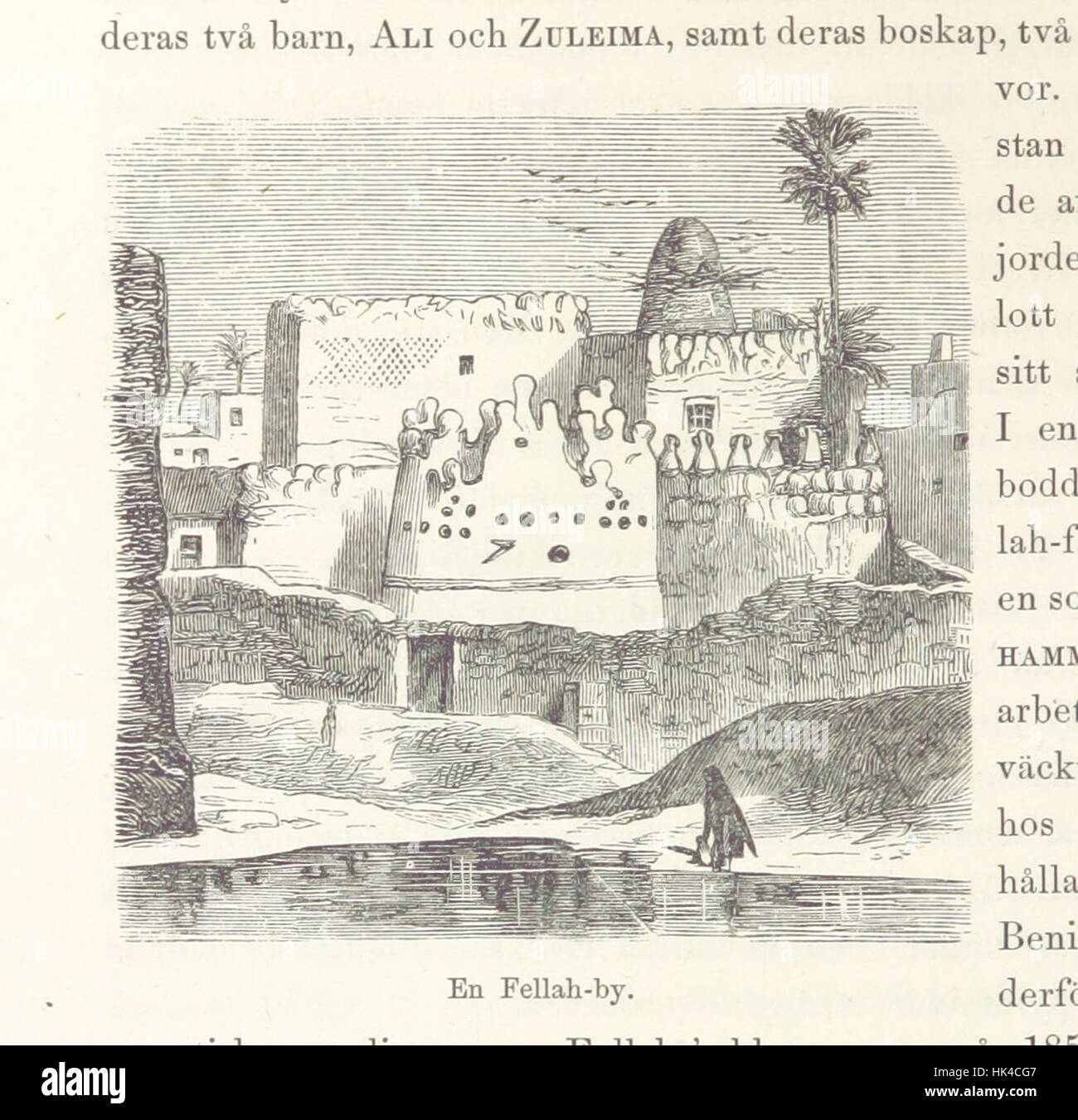 Illustration from 'Tvaø Maønader i Egypten', depicting observations ...