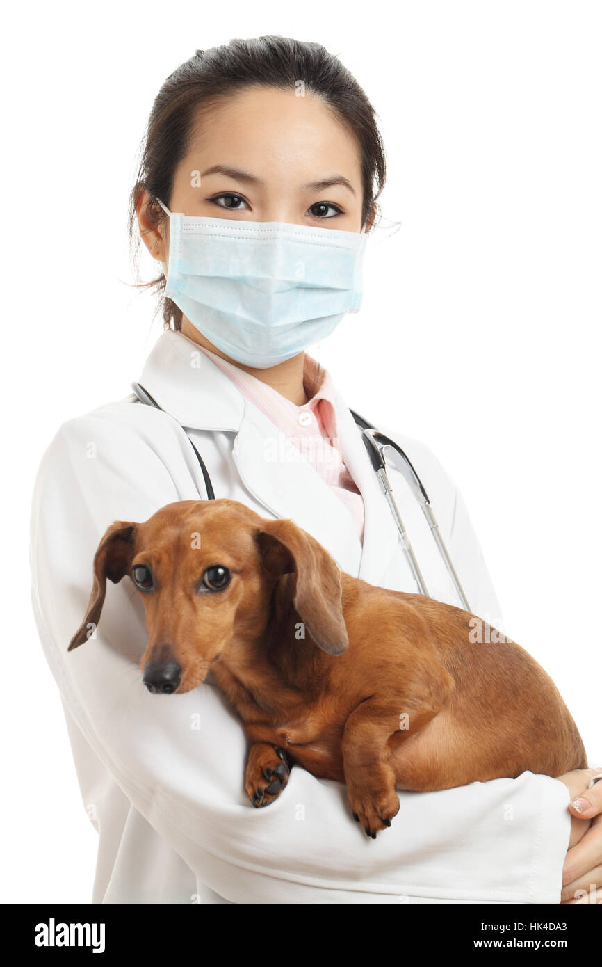 doctor, physician, medic, medical practicioner, woman, humans, human ...
