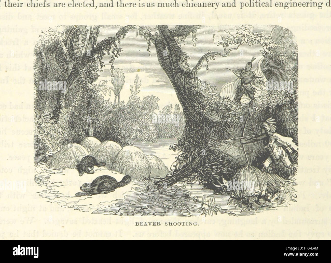 Image from page 112 of 'The Races of Mankind,' a work that explores the ...