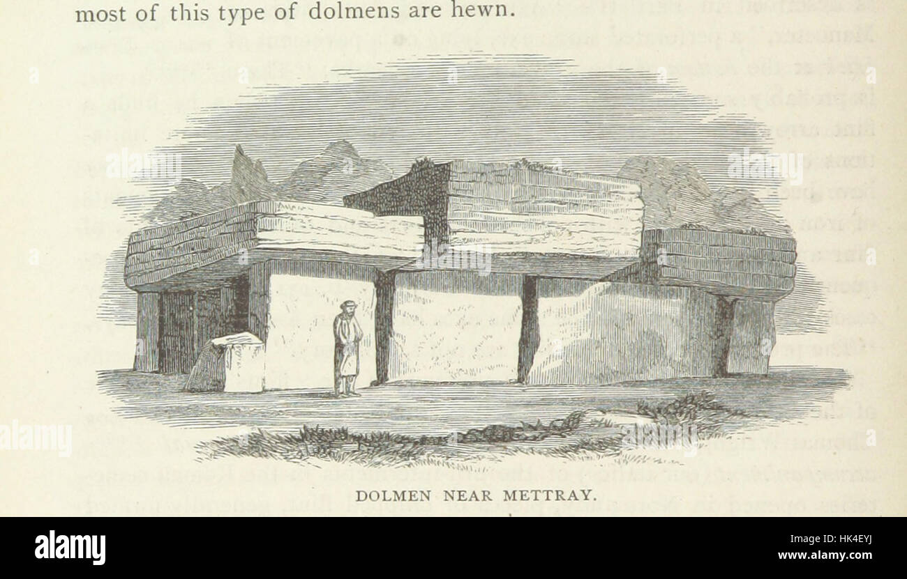 The image from page 114 of 'The Recent Origin of Man' illustrates key ...