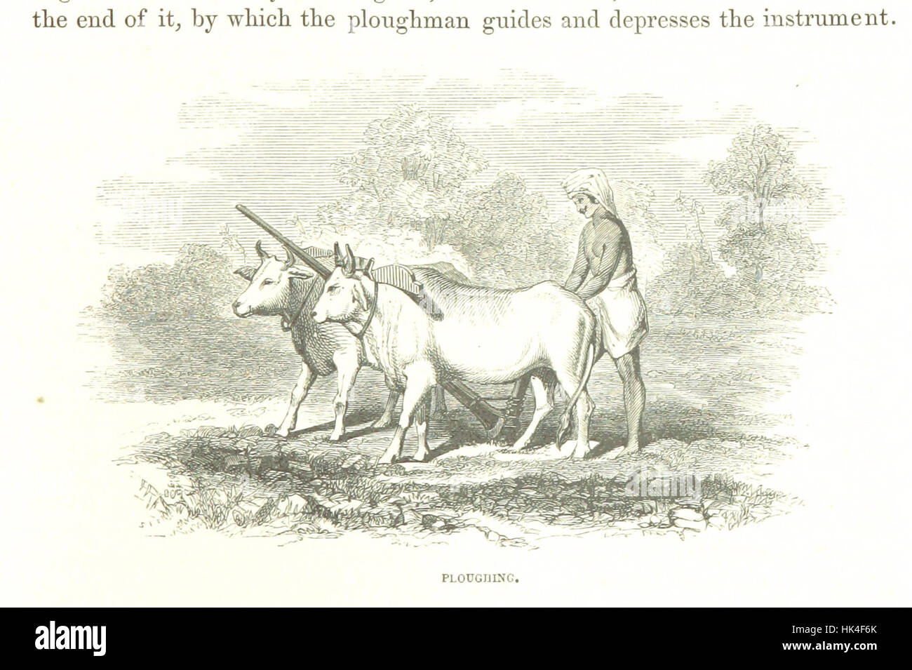 Image taken from page 115 of 'Rural Life in Bengal', depicting Anglo ...