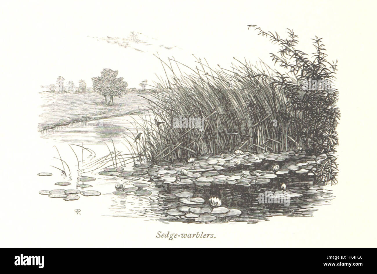 Image from page 116 of 'Life on the Upper Thames,' illustrating life ...