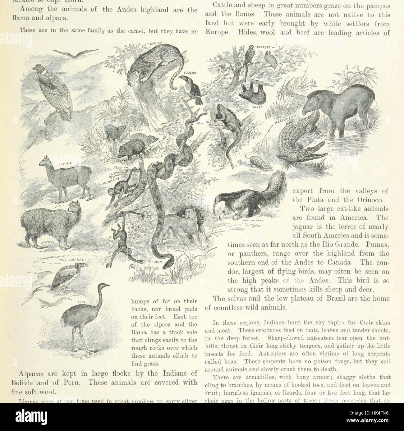 Image from 'Advanced Geography', providing an in-depth study of global ...