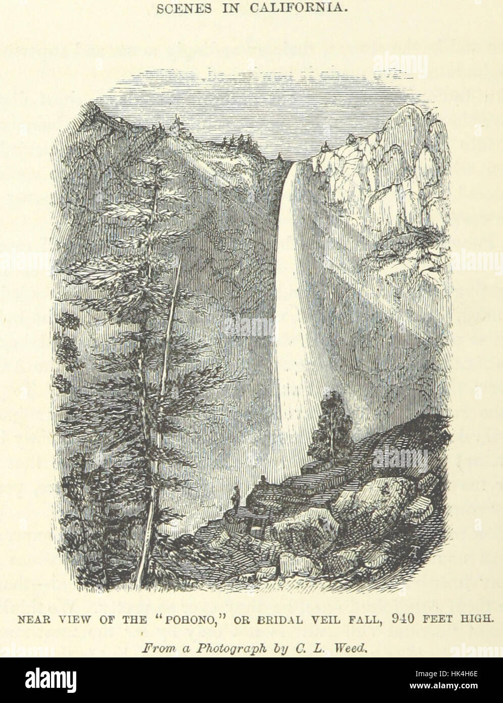 Illustration from 'Scenes of Wonder and Curiosity in California ...