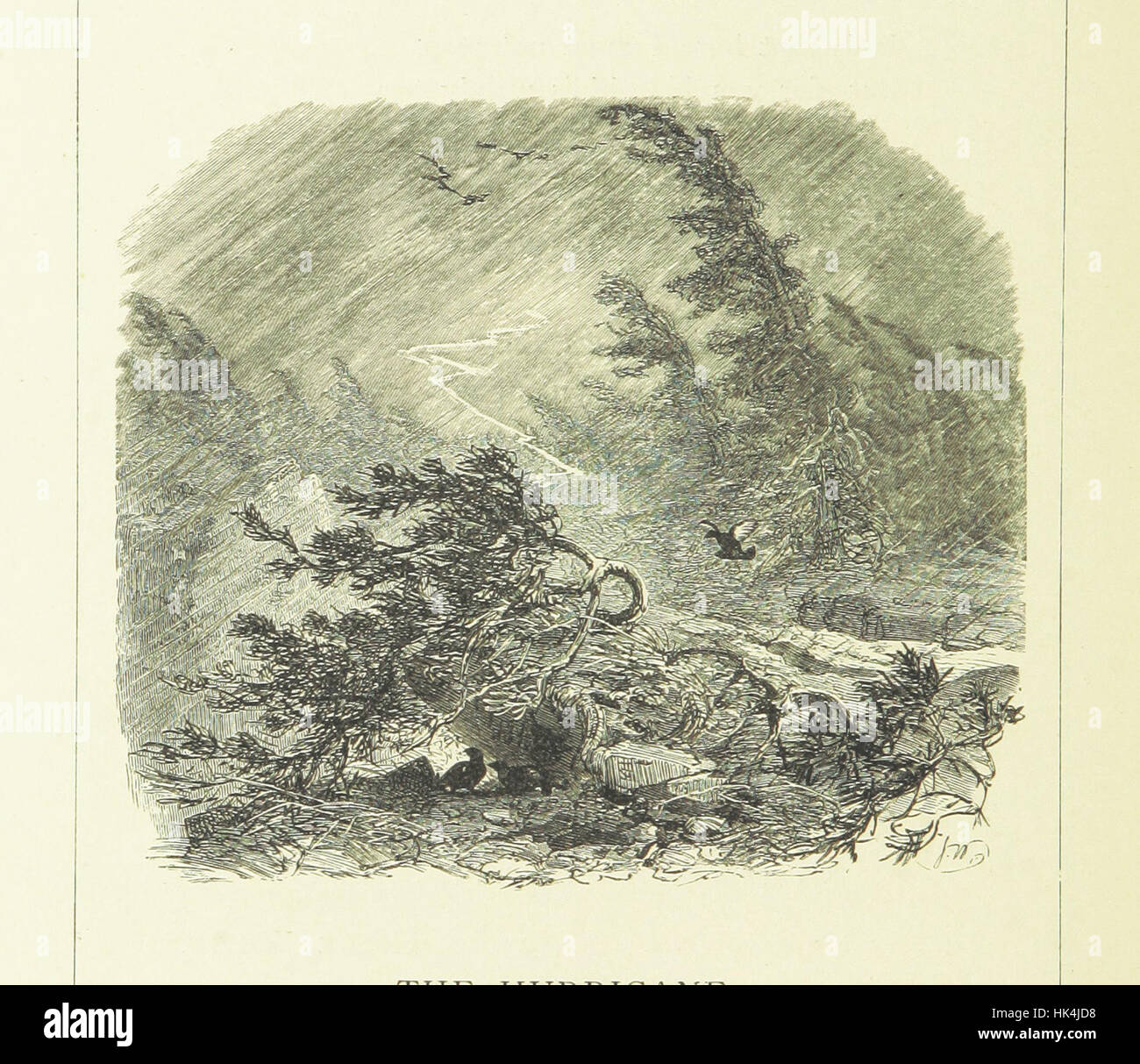 Photograph from 'The Cycle of Life,' a book of poems for both young and ...