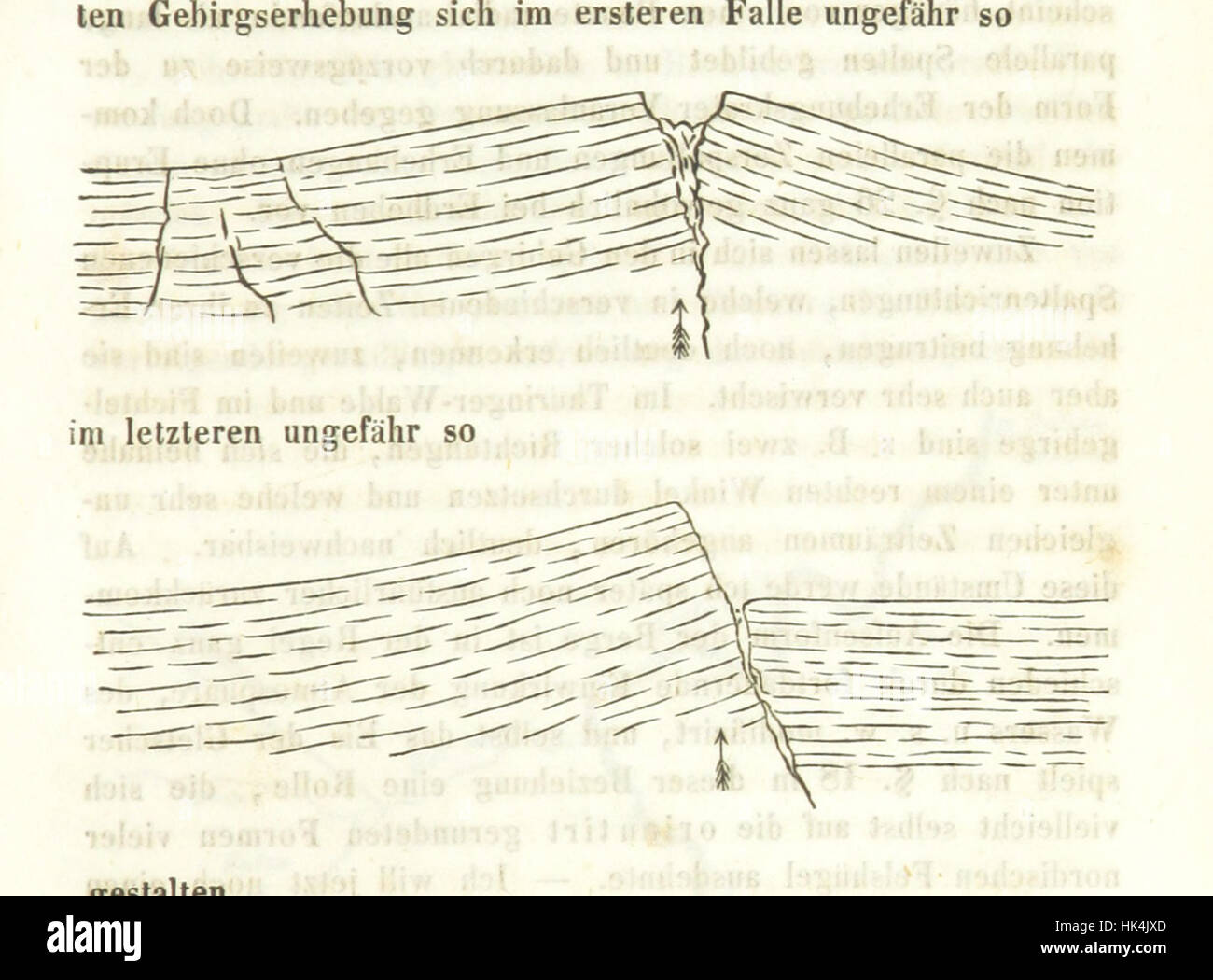 Illustration from the catalogue of the Geological Survey, displaying ...