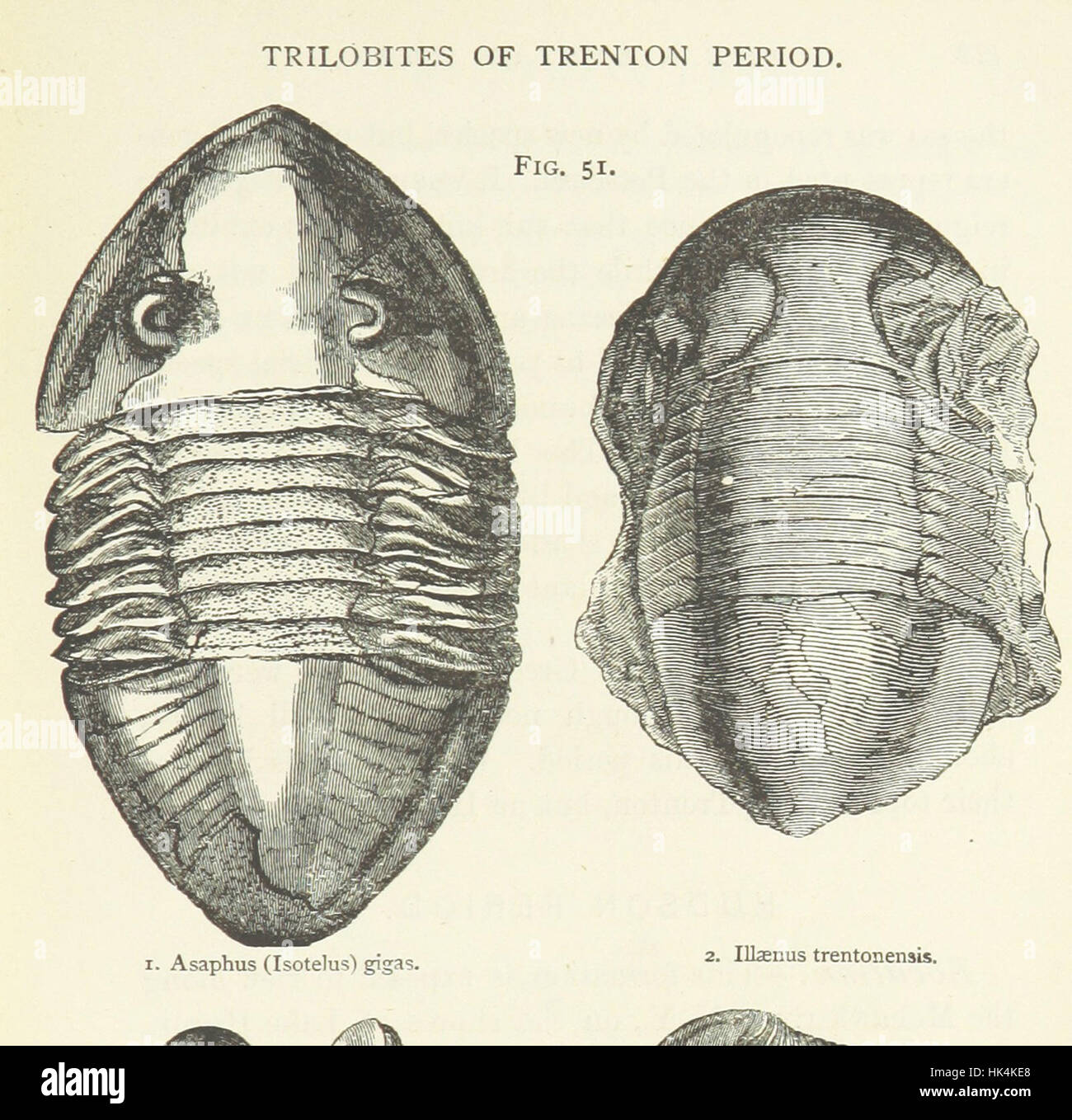 Illustration from 'The Story of the Rocks', depicting geological ...