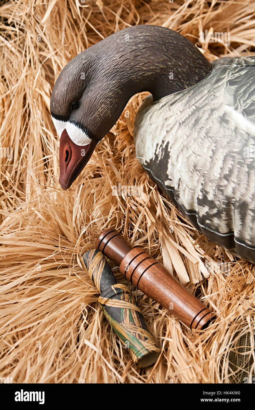 profile, call, animal, bird, wood, stuffed, male, masculine, hunter ...