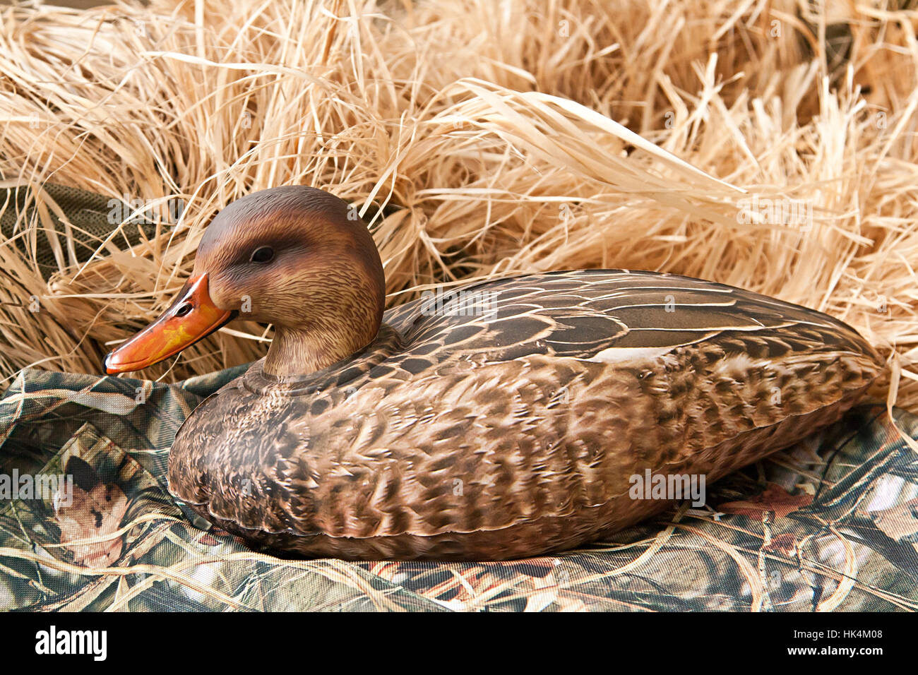 Hunters disguise hi-res stock photography and images - Alamy