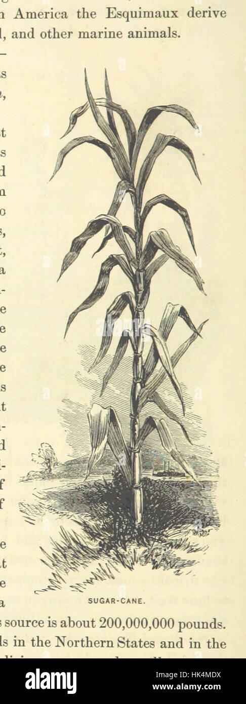 Photograph from page 130 of 'Elements of Physical Geography,' focusing ...