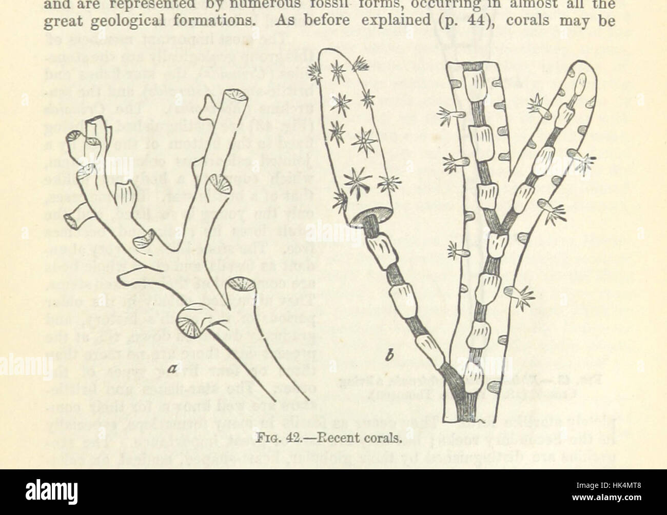 A page from the 'Text Book of Geology', providing educational content ...
