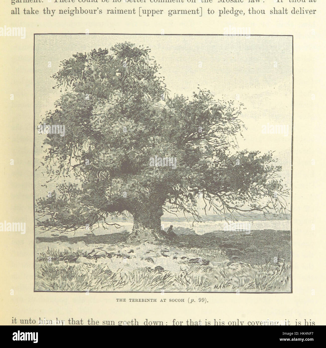 Image from '[The Holy Land and the Bible]' showing illustrated ...