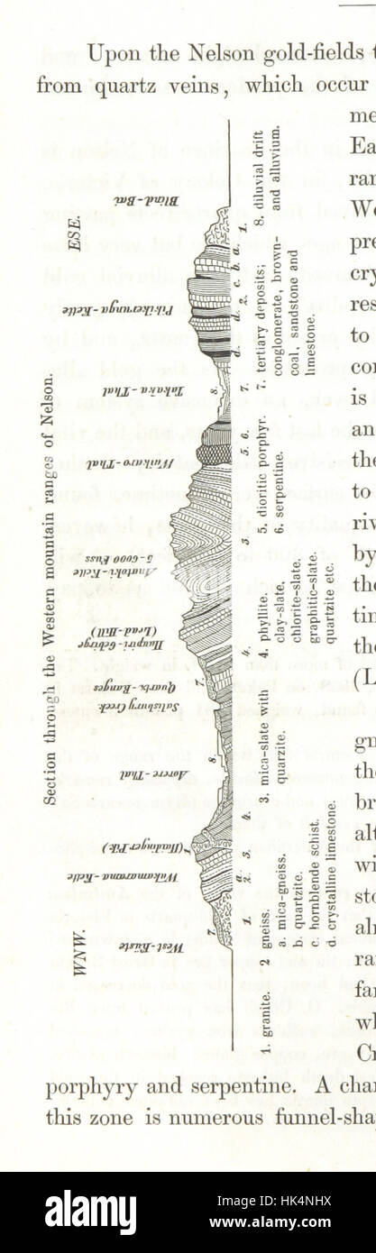 The image from page 134 of 'New Zealand' shows an illustration ...