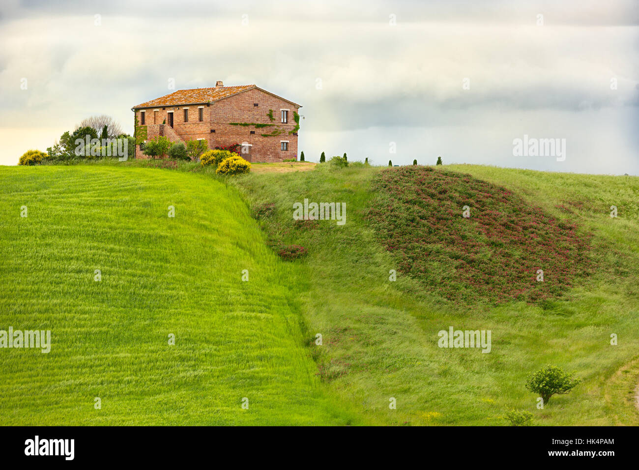 agriculture, farming, field, tuscany, farm, hills, rural, scenery ...