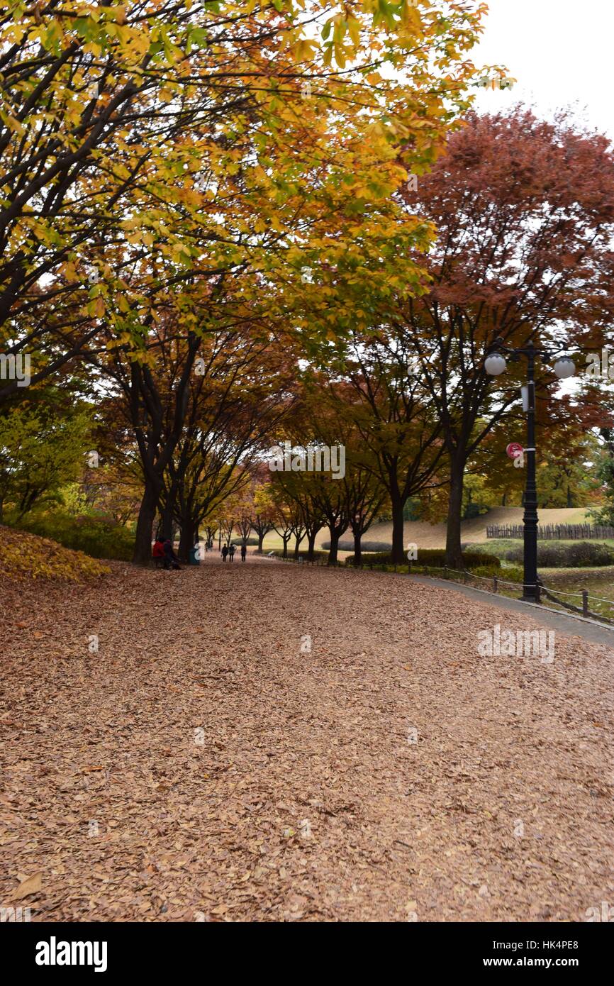 Lane in Fall Stock Photo - Alamy