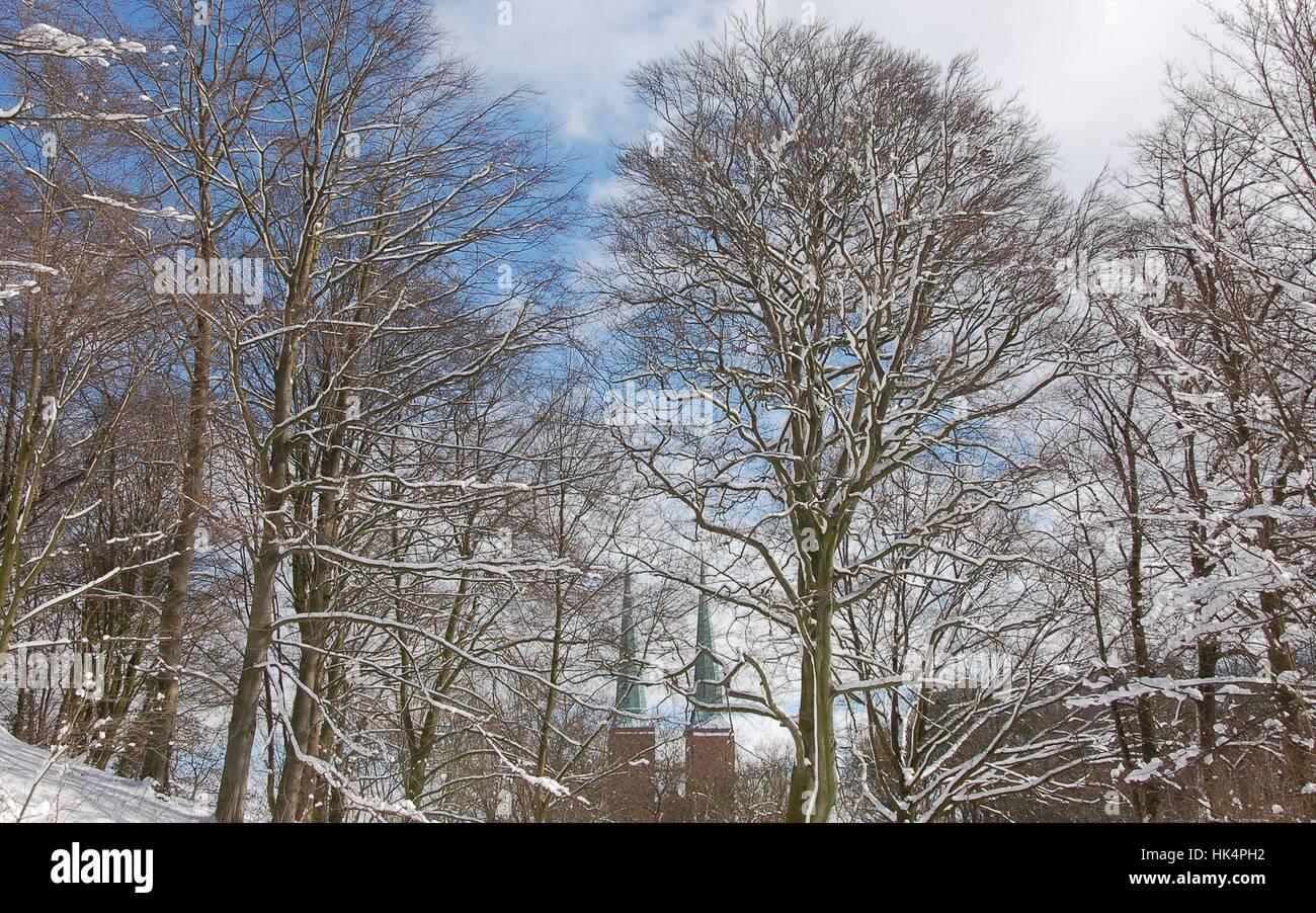 cathedral, old town, Hanseatic city, catholic, snow, luebeck, cathedral ...