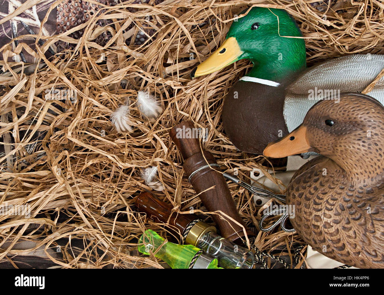 profile, call, animal, bird, wood, stuffed, male, masculine, hunter ...