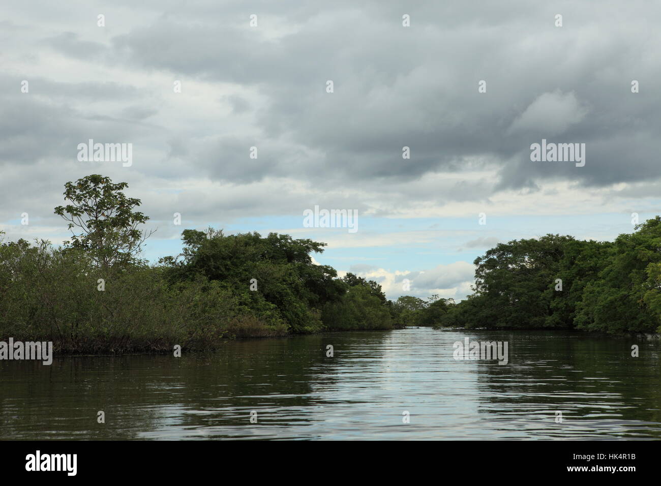 Rio yacuma hi-res stock photography and images - Alamy