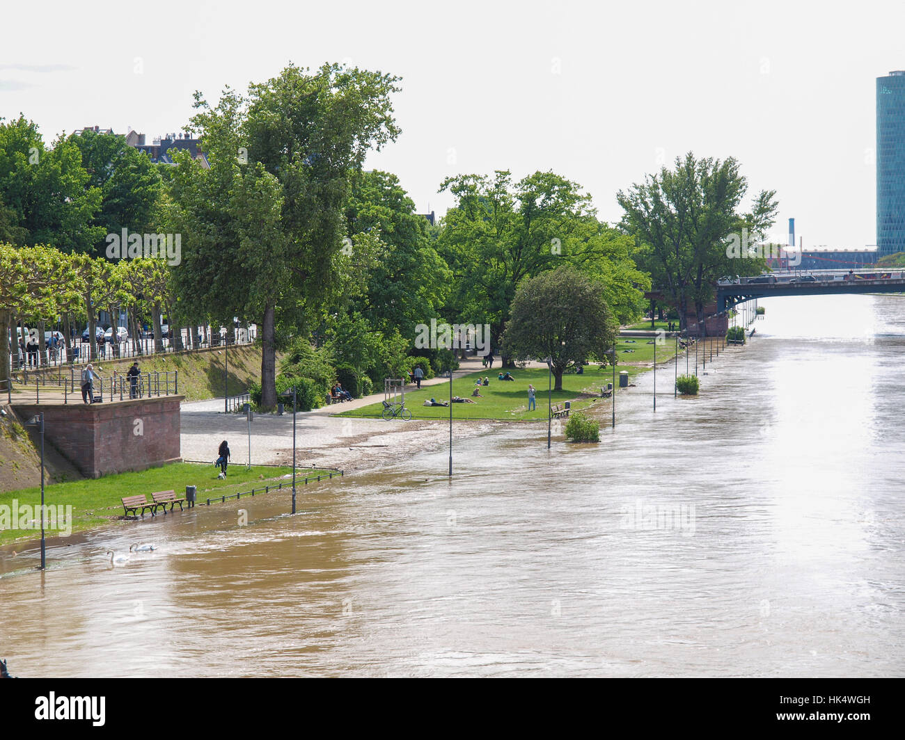 waves, germany, german federal republic, flood, high, tall, river ...