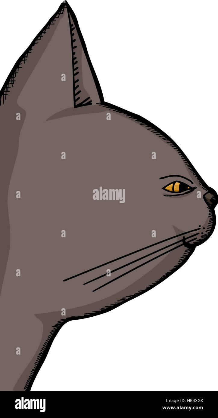 profile, single, isolated, animal, mammal, illustration, one, side view ...