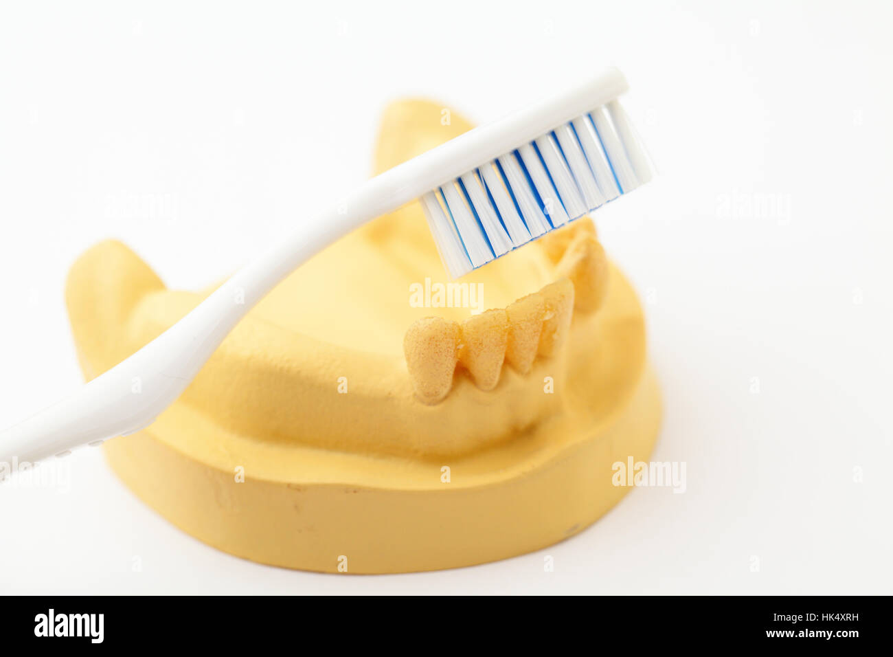 model, design, project, concept, plan, draft, teeth, tooth, protect ...