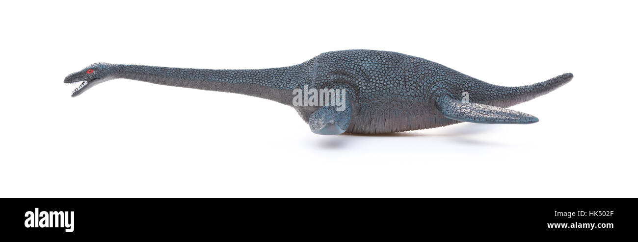 Plesiosaurus hi-res stock photography and images - Alamy