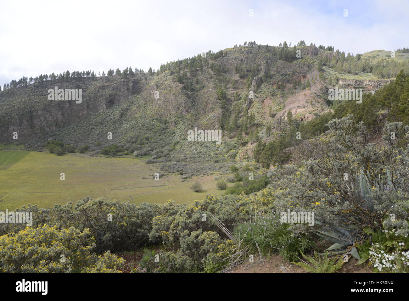 canary islands, crater, canaries, field, spain, fields, crater ...