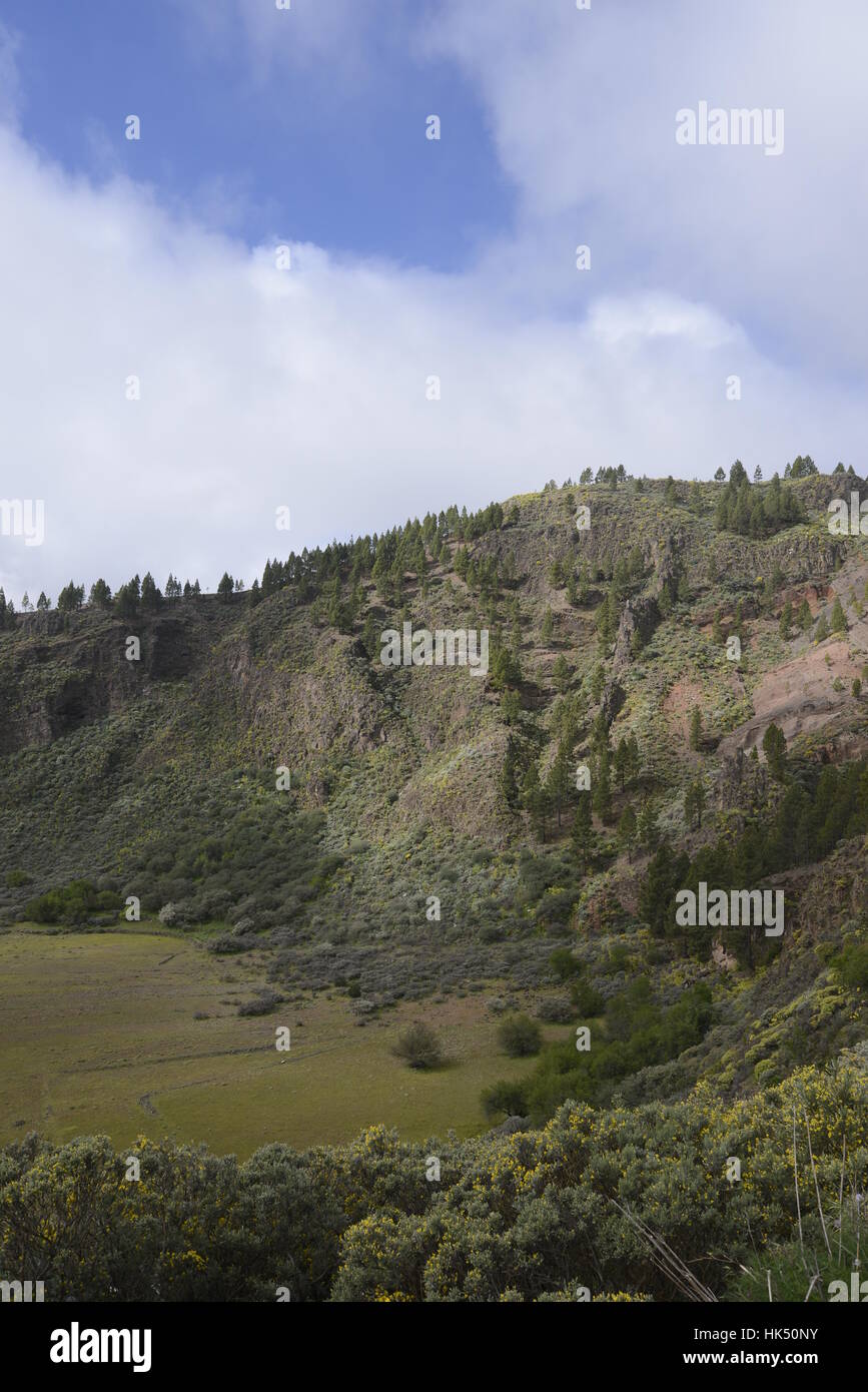 canary islands, crater, canaries, field, spain, fields, crater ...