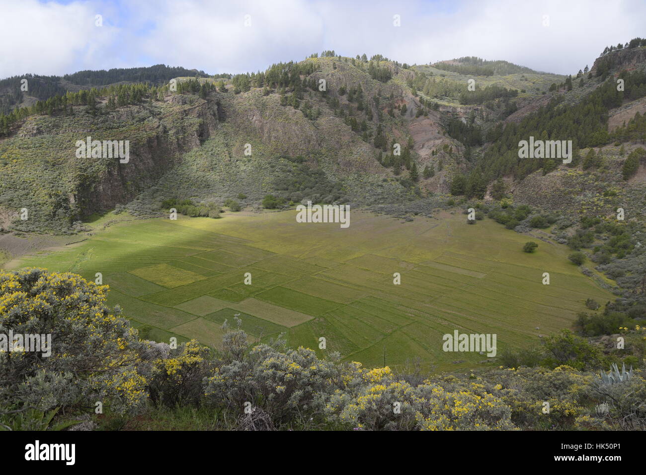canary islands, crater, canaries, field, spain, fields, crater ...