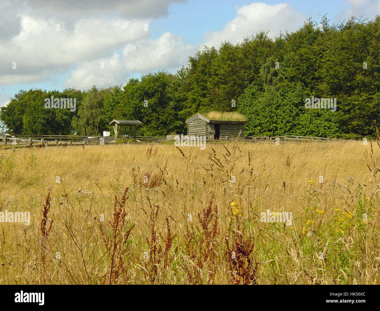 fields in summer,denmark Stock Photo - Alamy