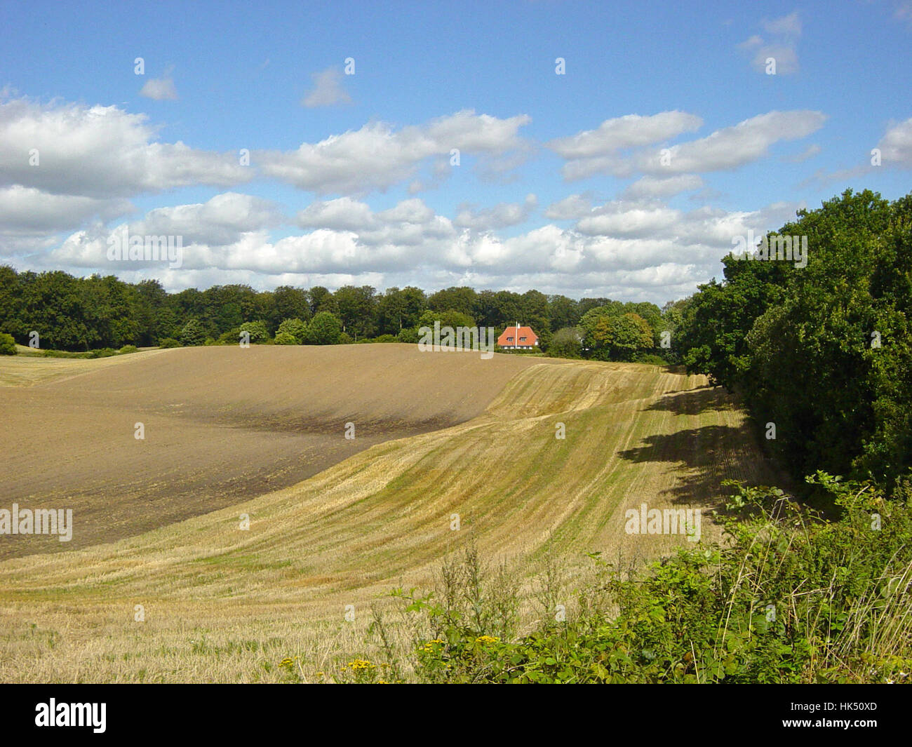 Heavenly fields hi-res stock photography and images - Alamy