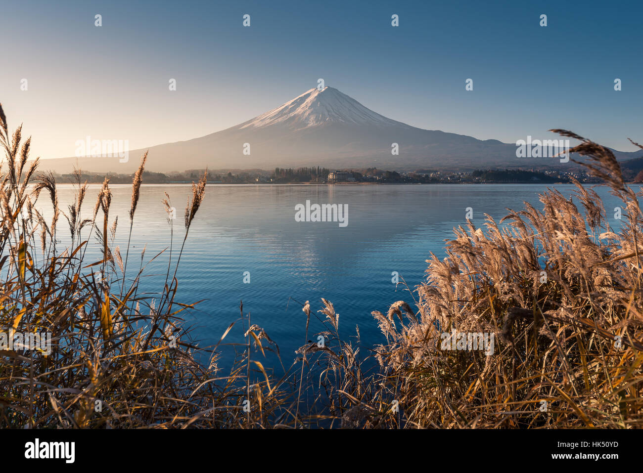 Sakura mt fuji white hi-res stock photography and images - Alamy