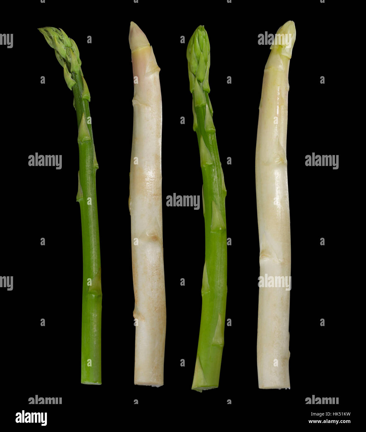 green, vegetable, asparagus, pale, bright, pure white, snow white, food ...