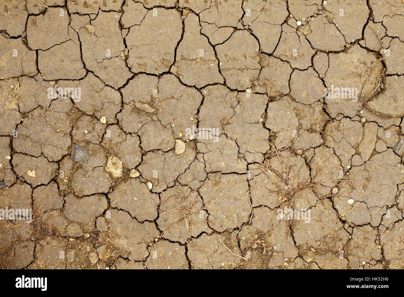 ground, soil, earth, humus, brown, brownish, brunette, surface, pattern ...