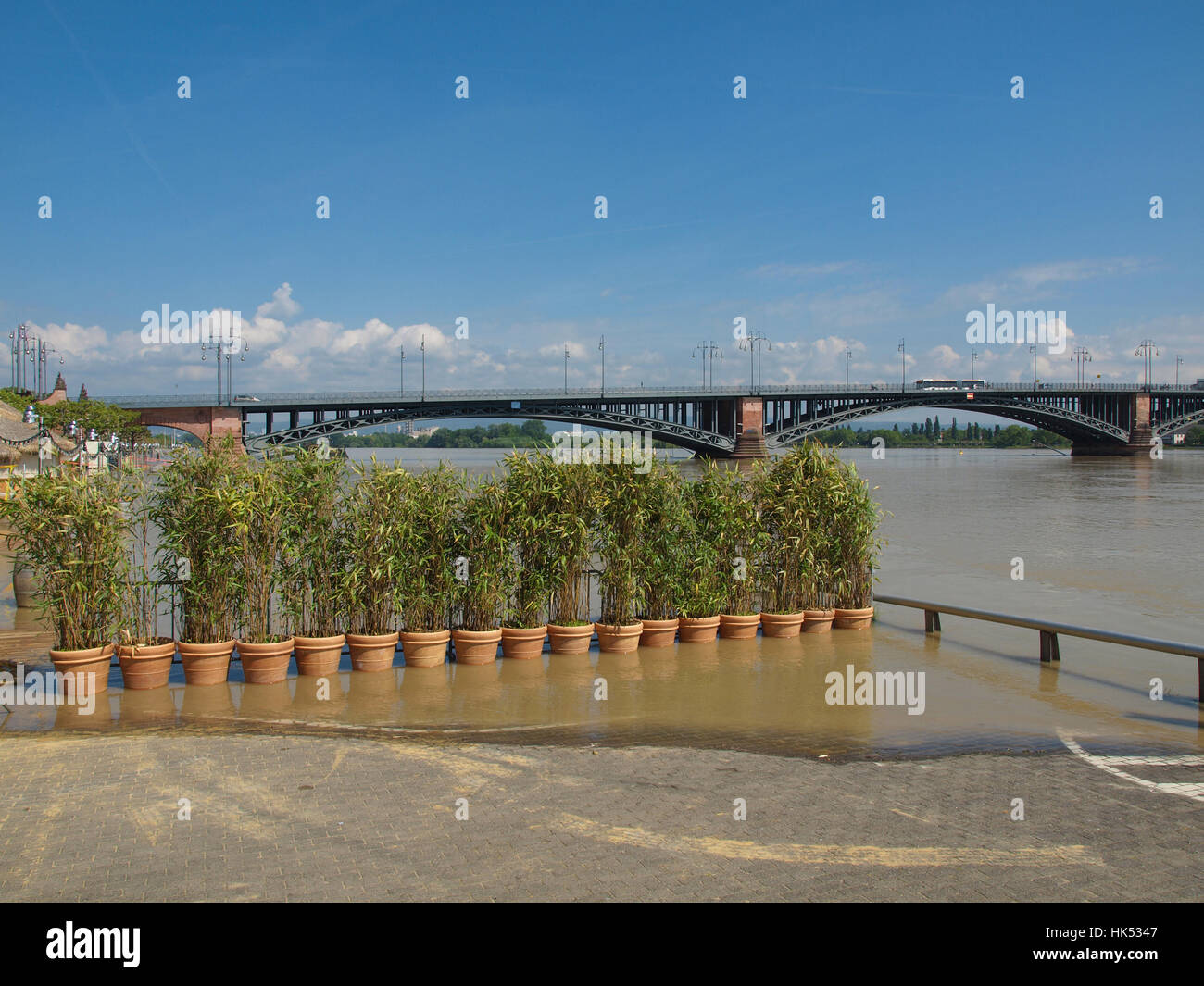 germany, german federal republic, flood, river, water, rhine, germany ...