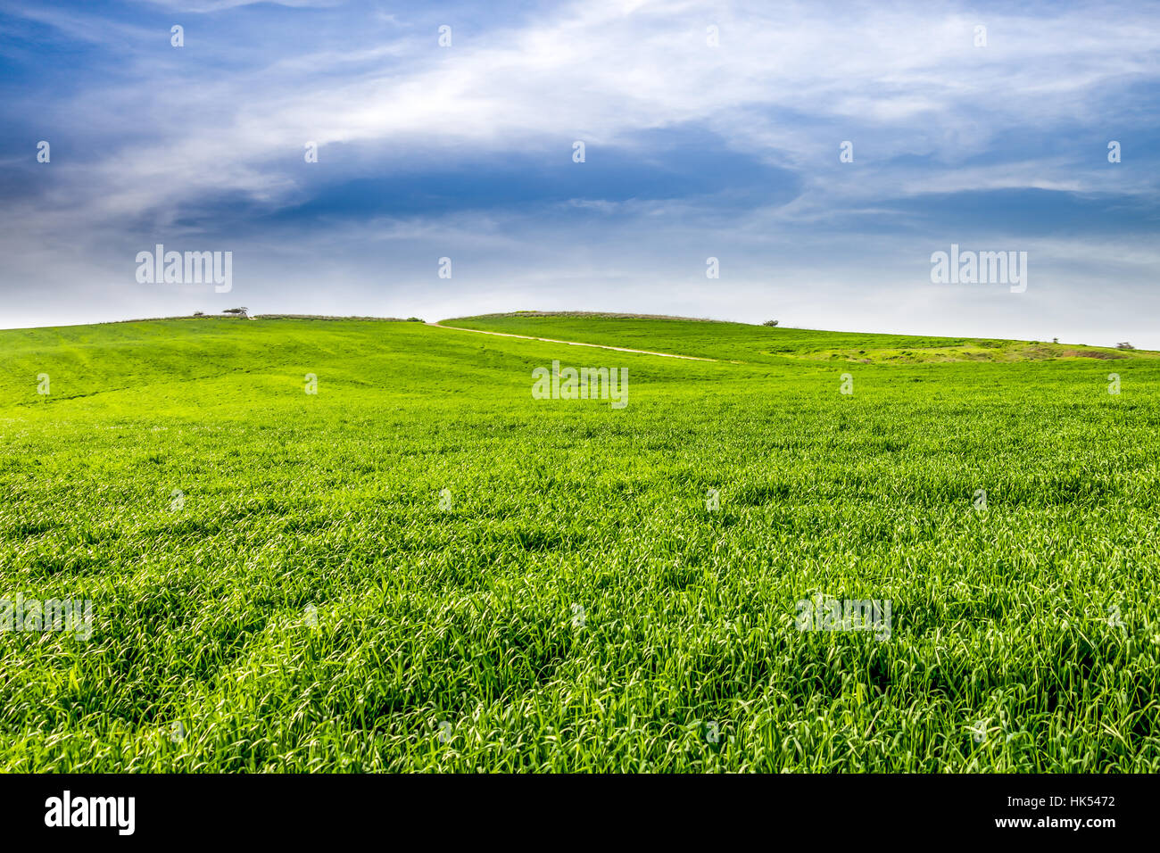 landscape sky and grass Stock Photo - Alamy