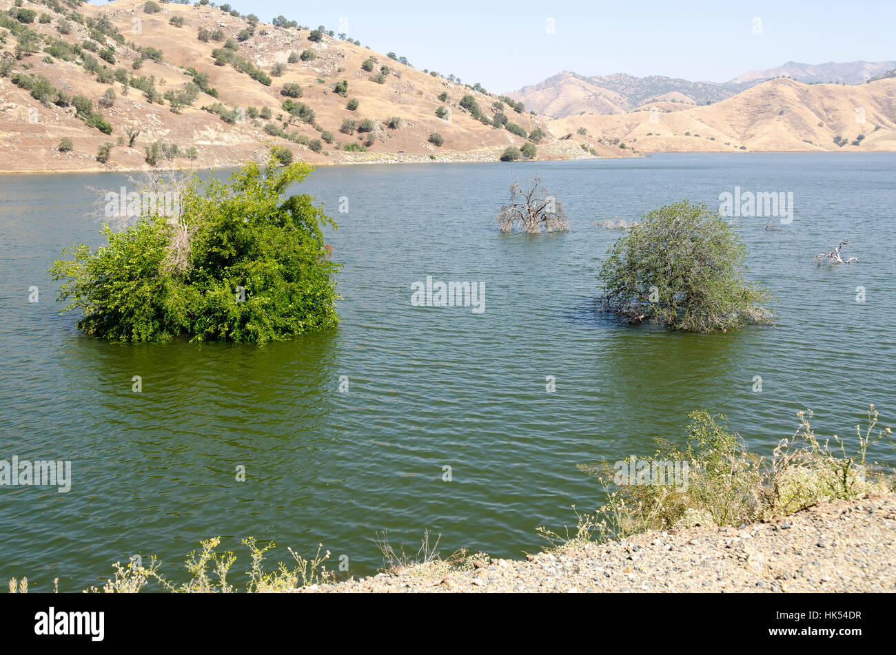 summer, summerly, tides, tide, fresh water, lake, inland water, water ...