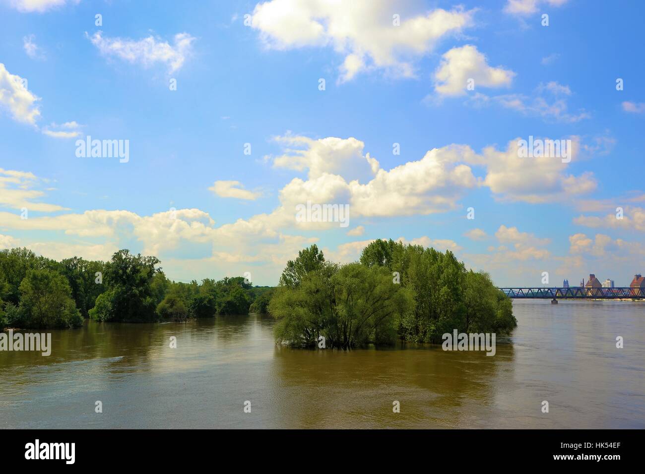 tree, trees, flood, high tide, floods, scenery, countryside, nature ...