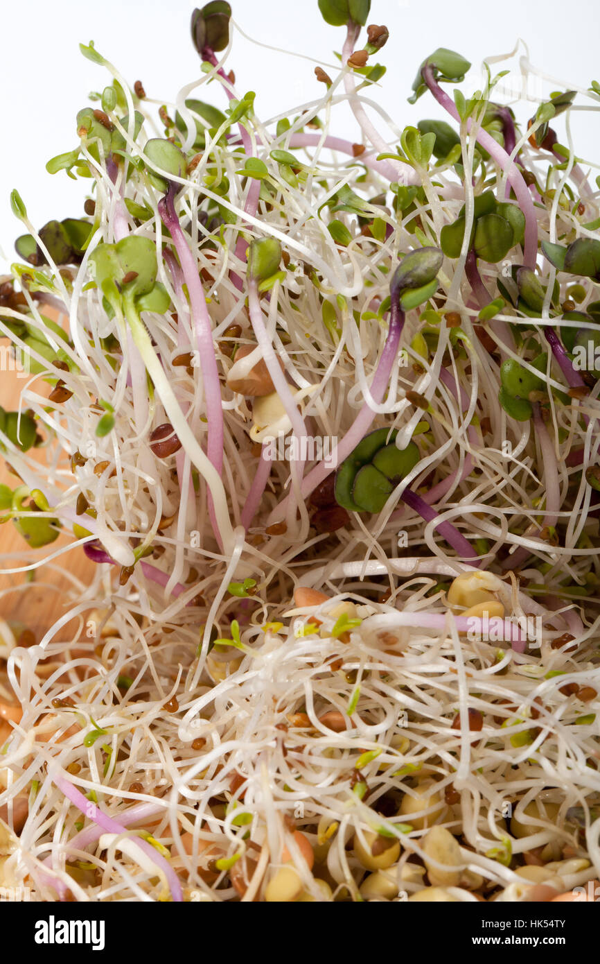 food, aliment, isolated, closeup, grain, vegetarian, sprout, cereal ...