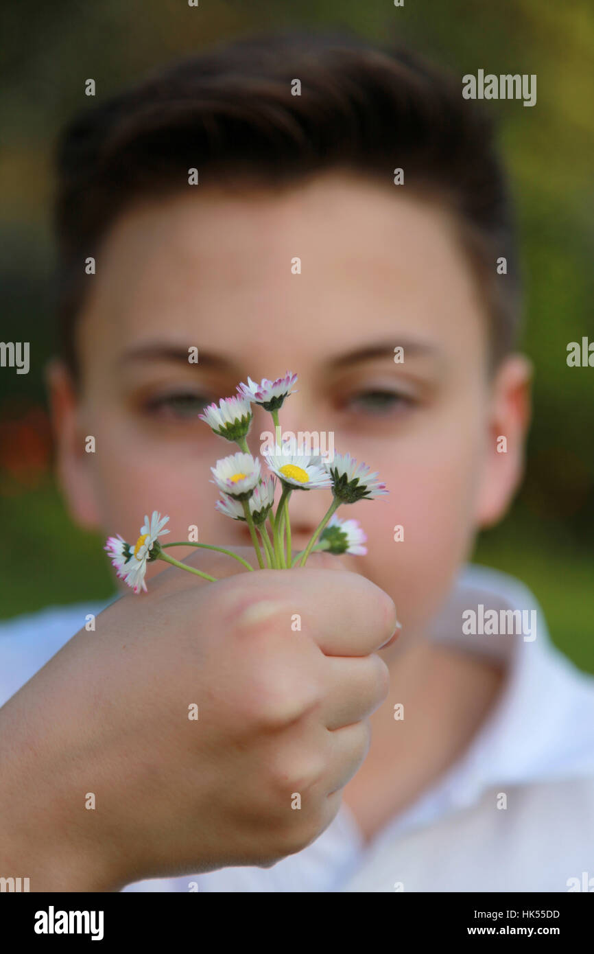 flower, plant, bloom, blossom, flourish, flourishing, flowers, spring ...