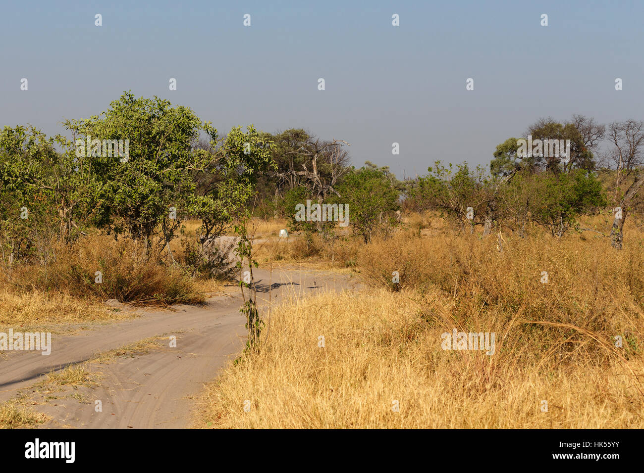 beautiful landscape in the Okavango, Moremi game reserve, Okavango ...