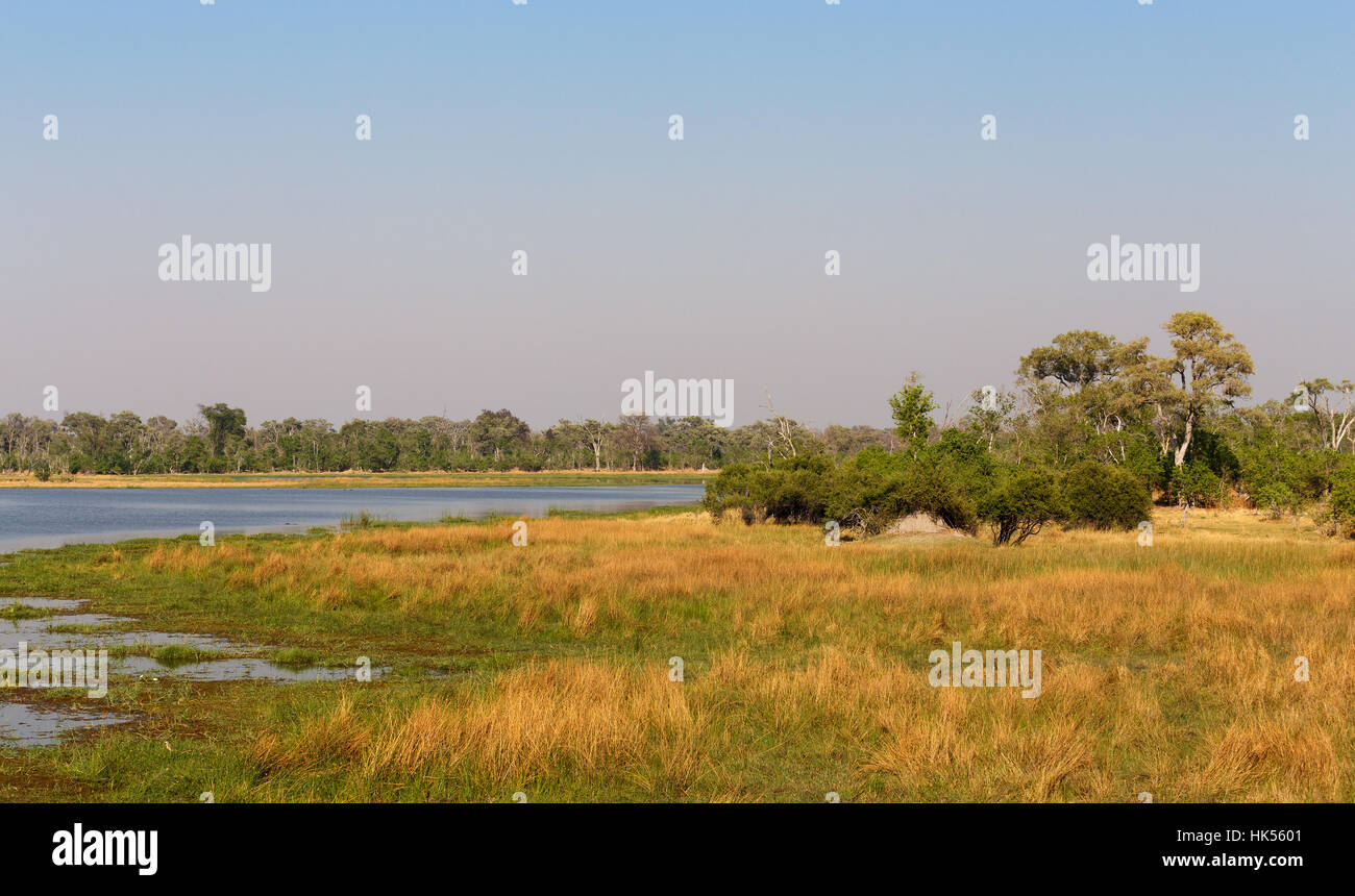 beautiful landscape in the Okavango, Moremi game reserve, Okavango ...