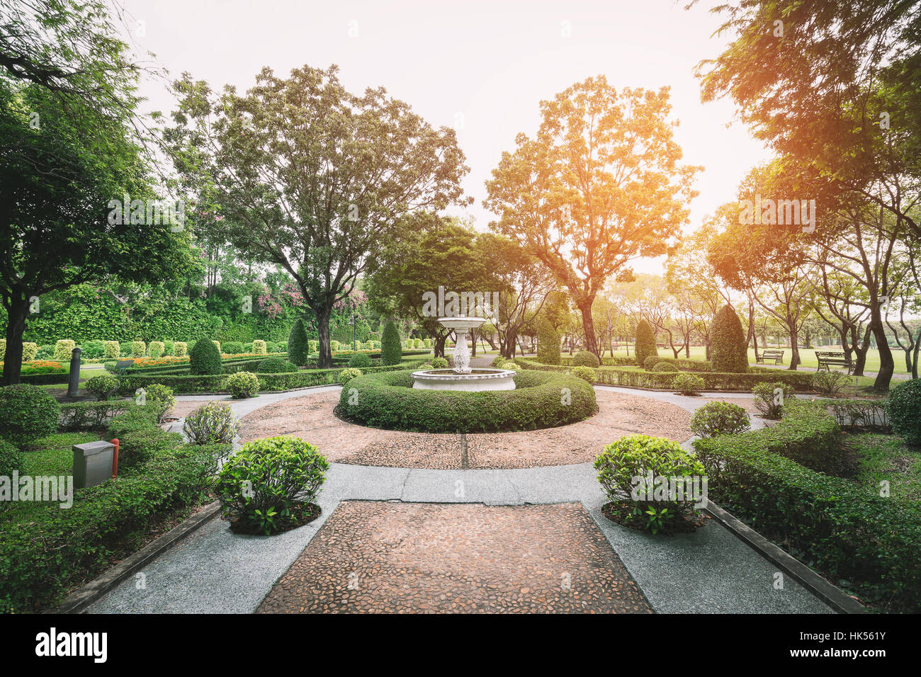 Roundabout tree hi-res stock photography and images - Alamy