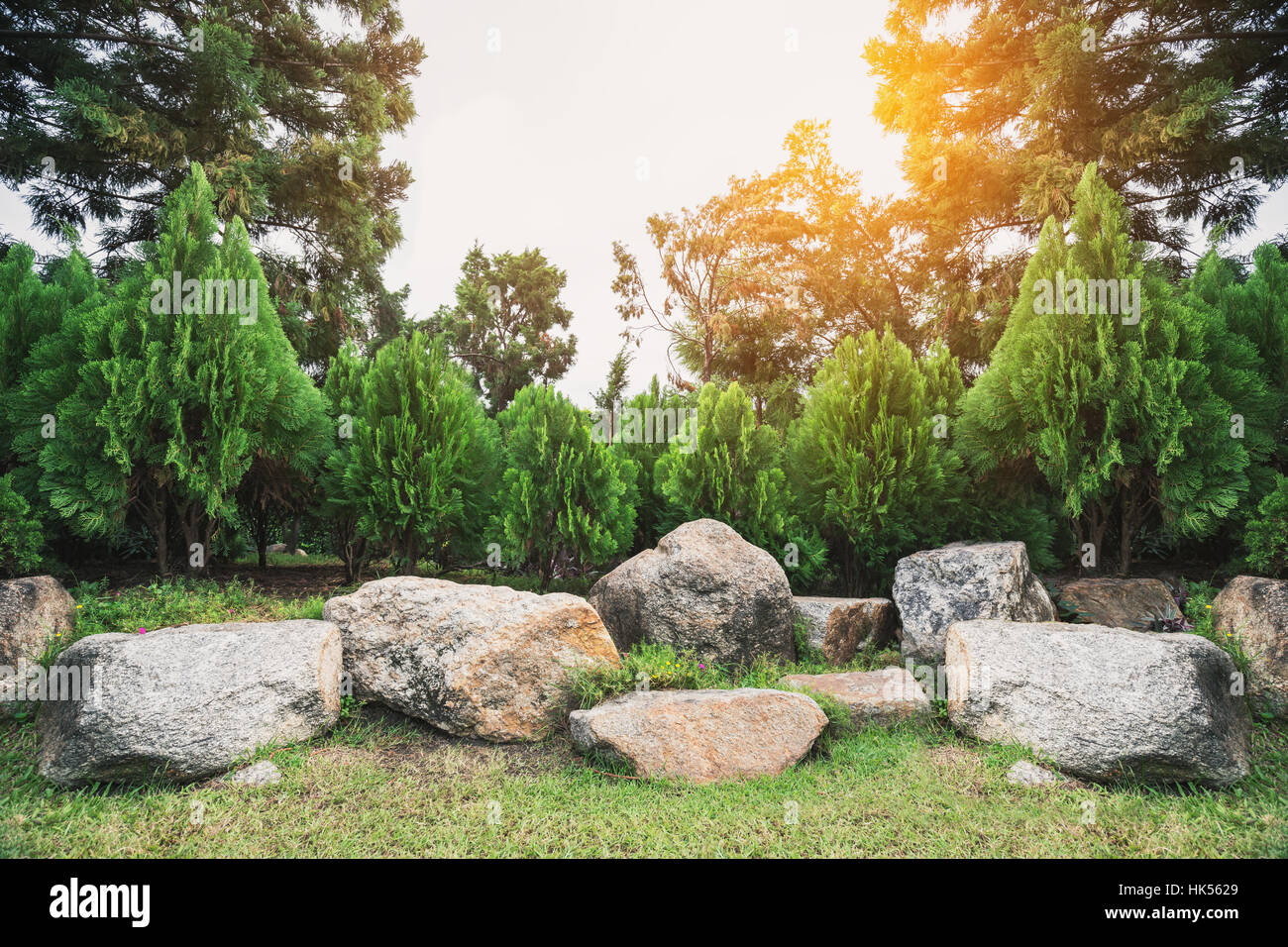 Garden decorated by small pine trees and stones on grass floor, having ...
