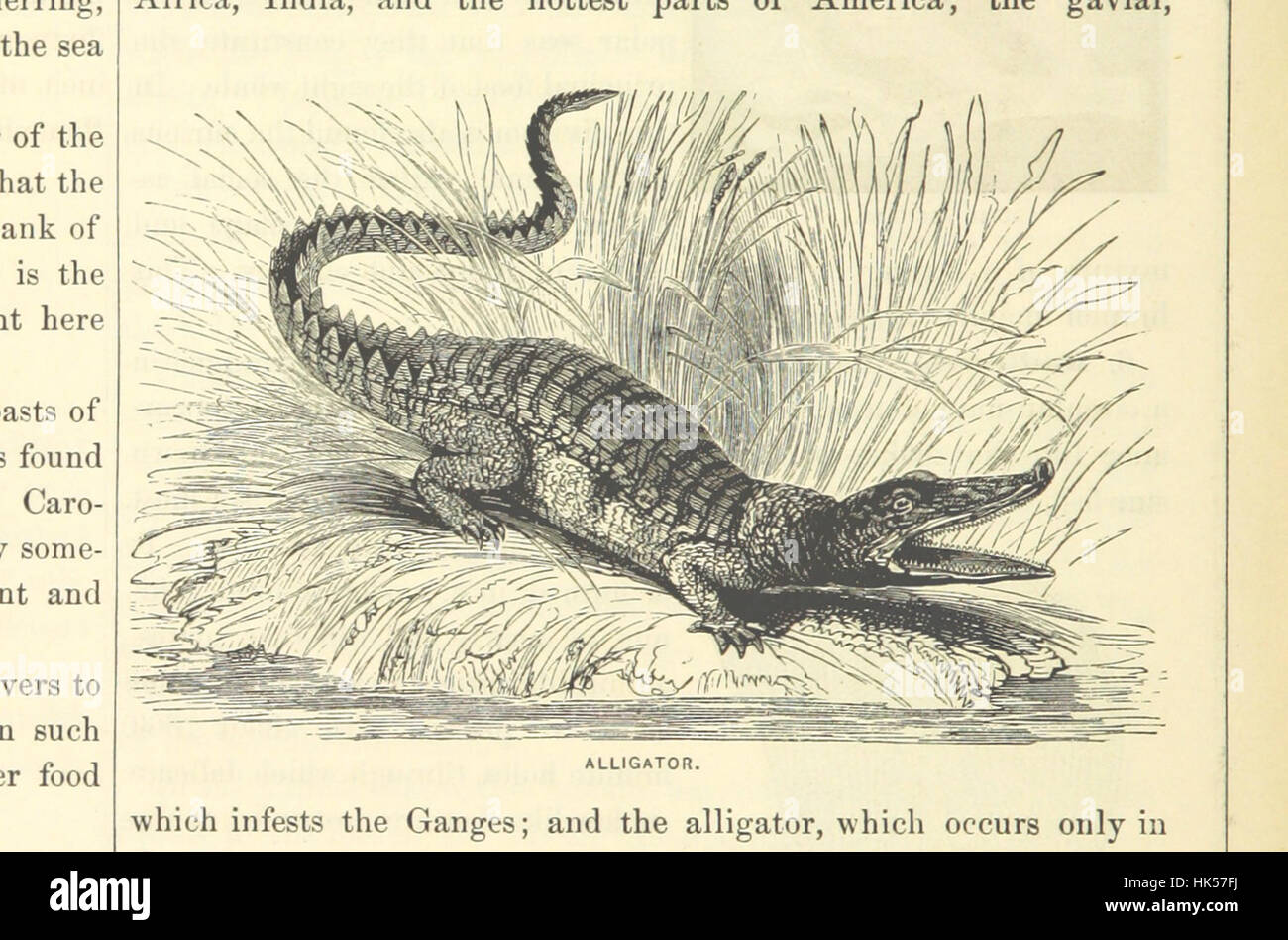 An illustration from 'Elements of Physical Geography,' focusing on ...