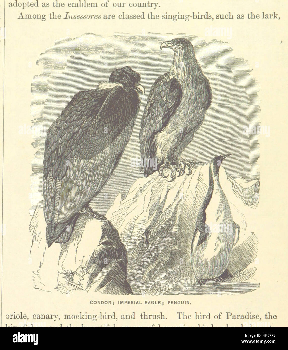 An illustration from 'Elements of Physical Geography', showing key ...